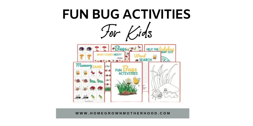 Fun Bug Activities
