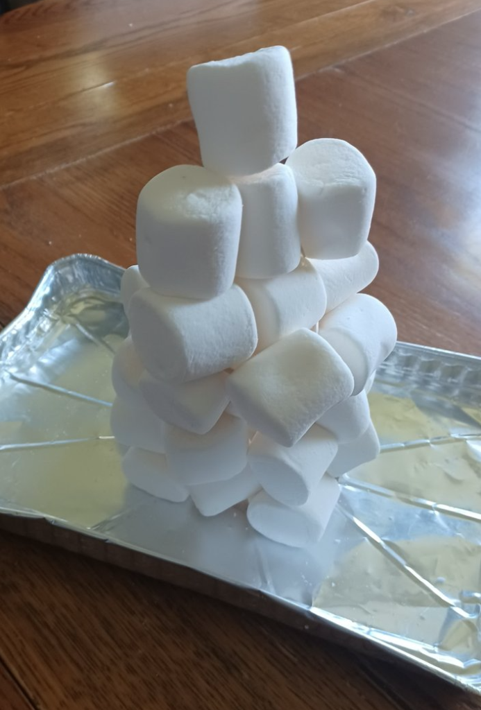 STEAM Activities For Homeschoolers