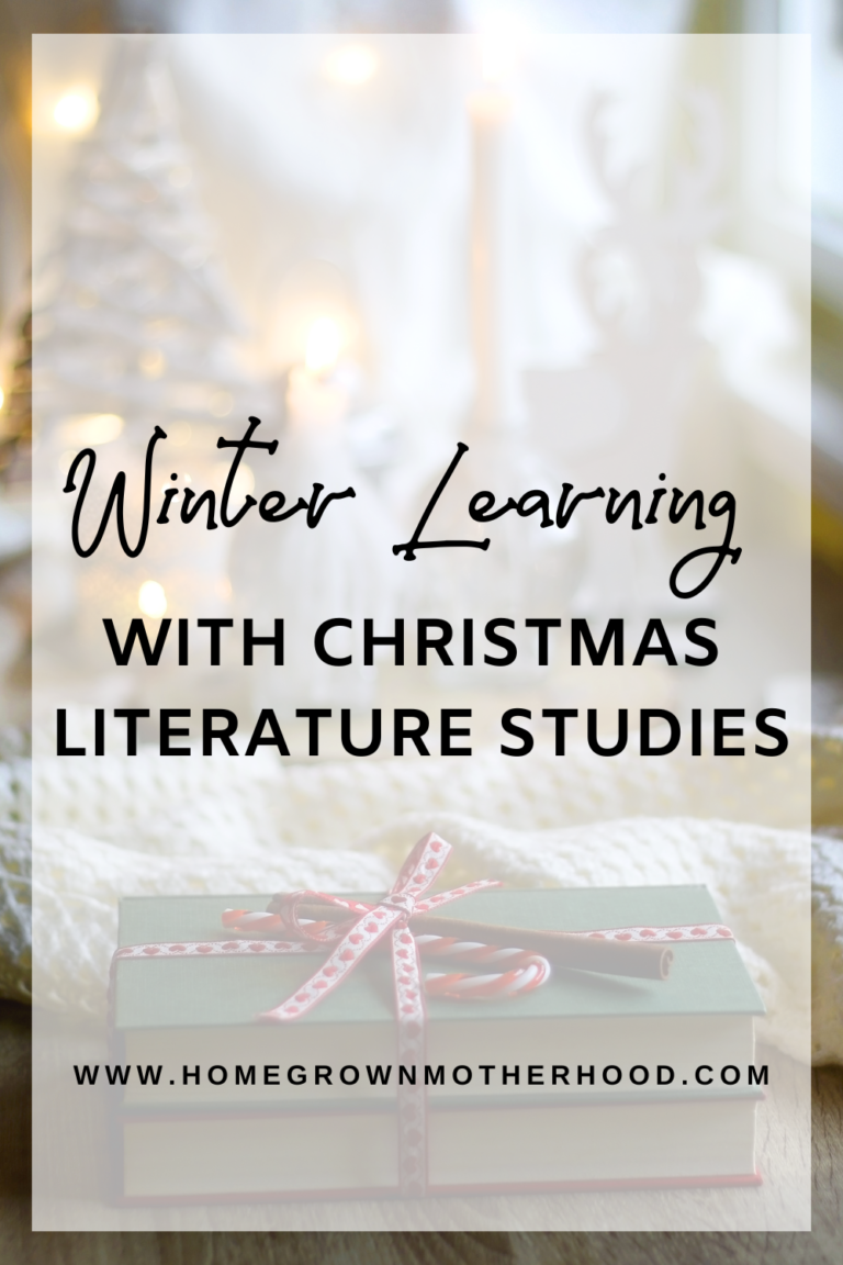Winter Learning With Christmas Literature Study