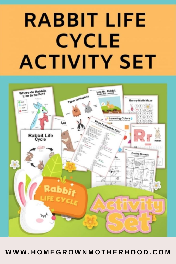 Rabbit Life Cycle Activity Pack