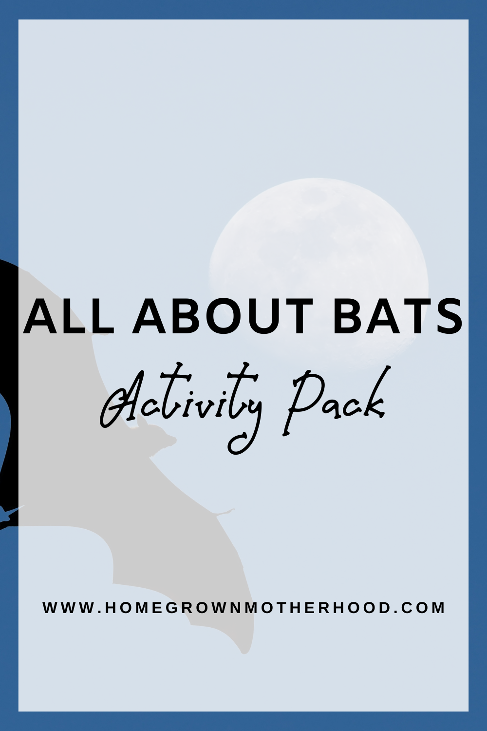 All About Bats Activity Pack