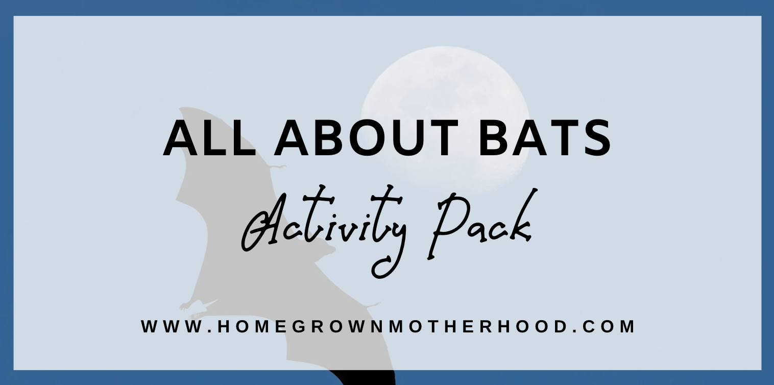 All About Bats Activity Pack