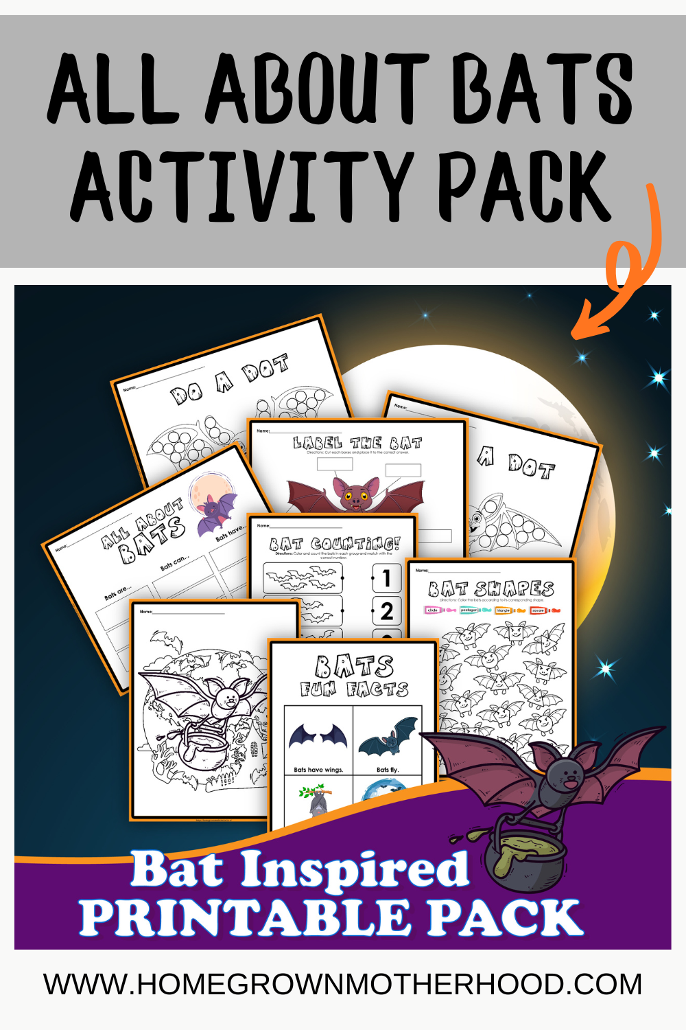 All About Bats Activity Pack