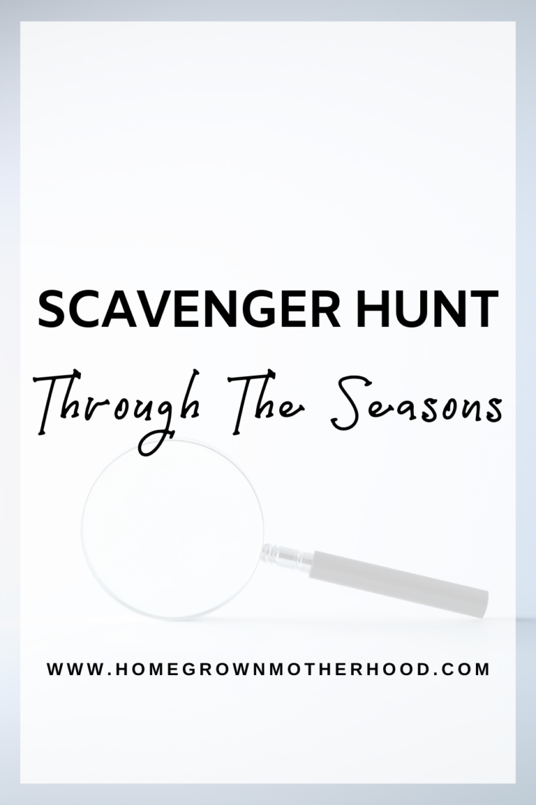 Scavenger Hunt Through The Seasons