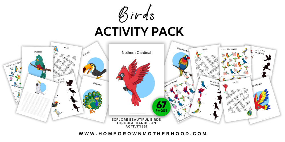 Birds Activity Pack